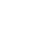 Leading Python Web Development Company - CSSChopper