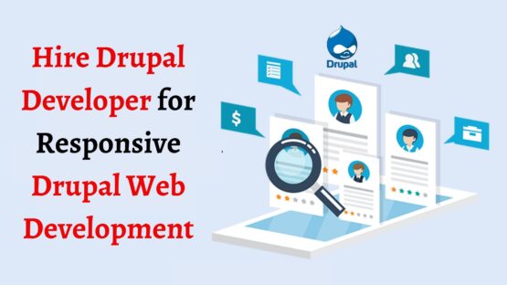 For Responsive Drupal Web Development Hire Drupal Developer