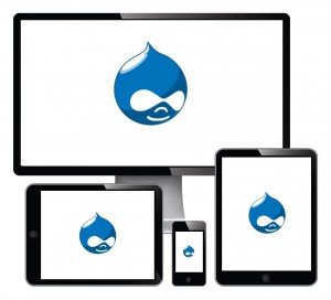 For Responsive Drupal Web Development Hire Drupal Developer - CSSChopper