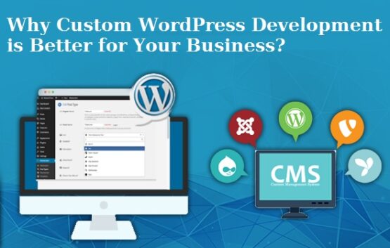 Why Custom WordPress Development is Better for Your Business?