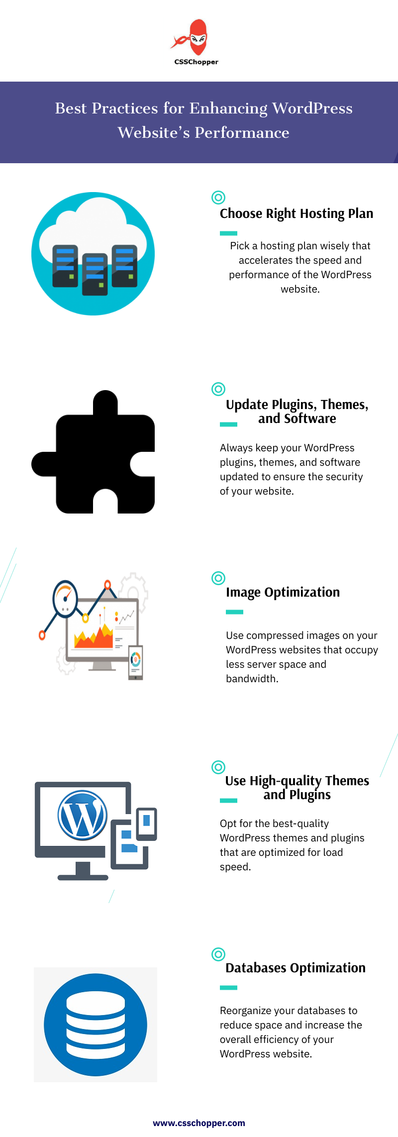 How to Boost Your WordPress Website Performance?