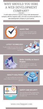 Why Should You Hire a Web Development Company? - CSSChopper