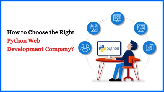 Effective Tips To Choose The Best Python Development Company